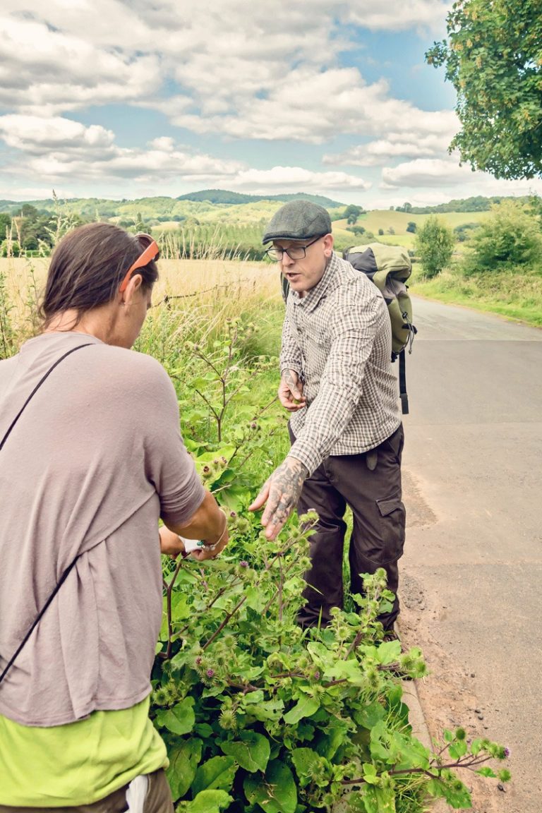 Forage UK – UK Foraging Courses and Resources