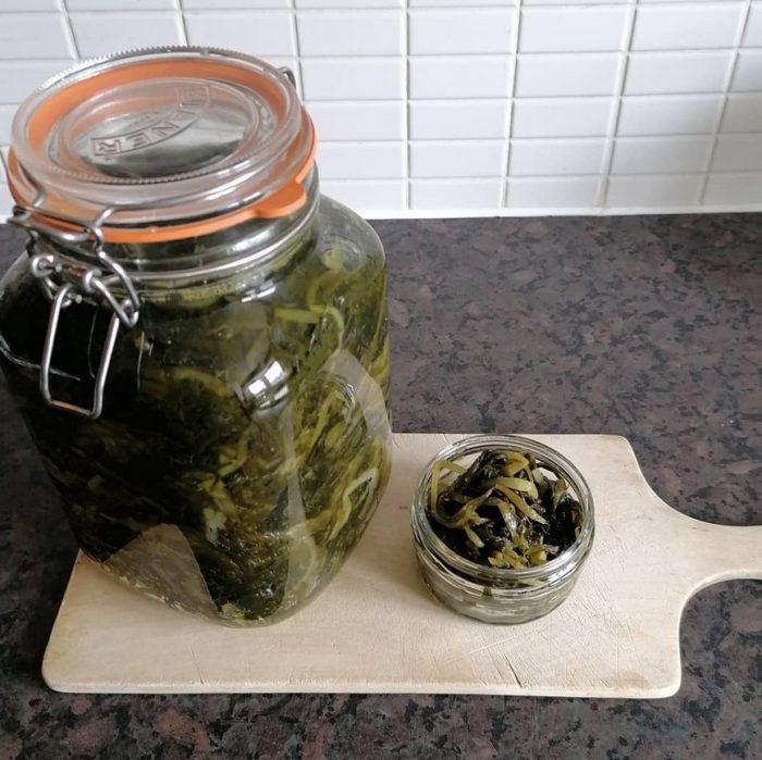 Fermented Wild Garlic, Chickpea and Marinated Halloumi – Forage UK